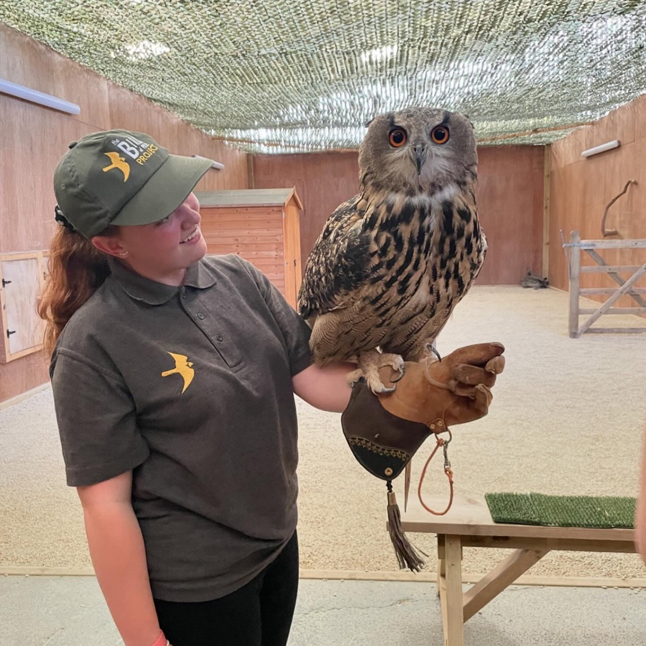 Amy’s Success Story with The Bird of Prey Project | Weston College